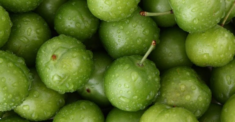 Yazın En Güzel Meyvesi Yeşil Erik Faydaları Nelerdir? - Diyetio